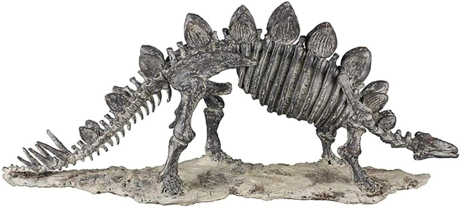 Education Dinosaur Skeleton Model Statue - Dinosaur Skeleton Model ...
