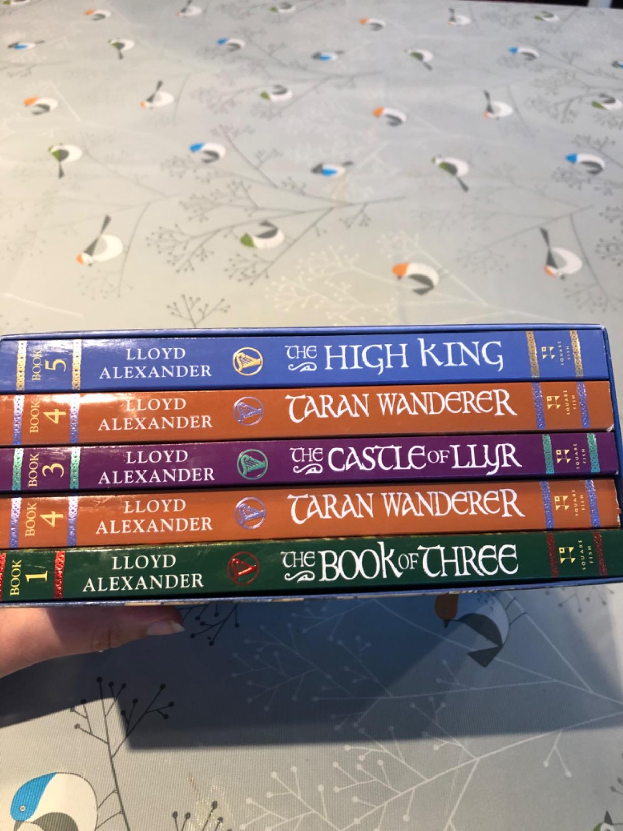 Amazon.com: The Chronicles of Prydain Boxed Set: 9780805082746: Lloyd ...