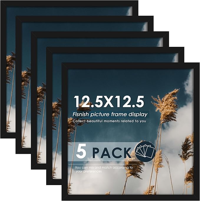 Amazon.com - Fisnish12.5x12.5 Picture Frame 5 Pack, Classic Black ...