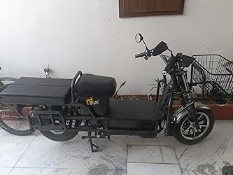 EOX E5+ Heavy Duty Electric Loader Scooter for Adults, Non RTO ...