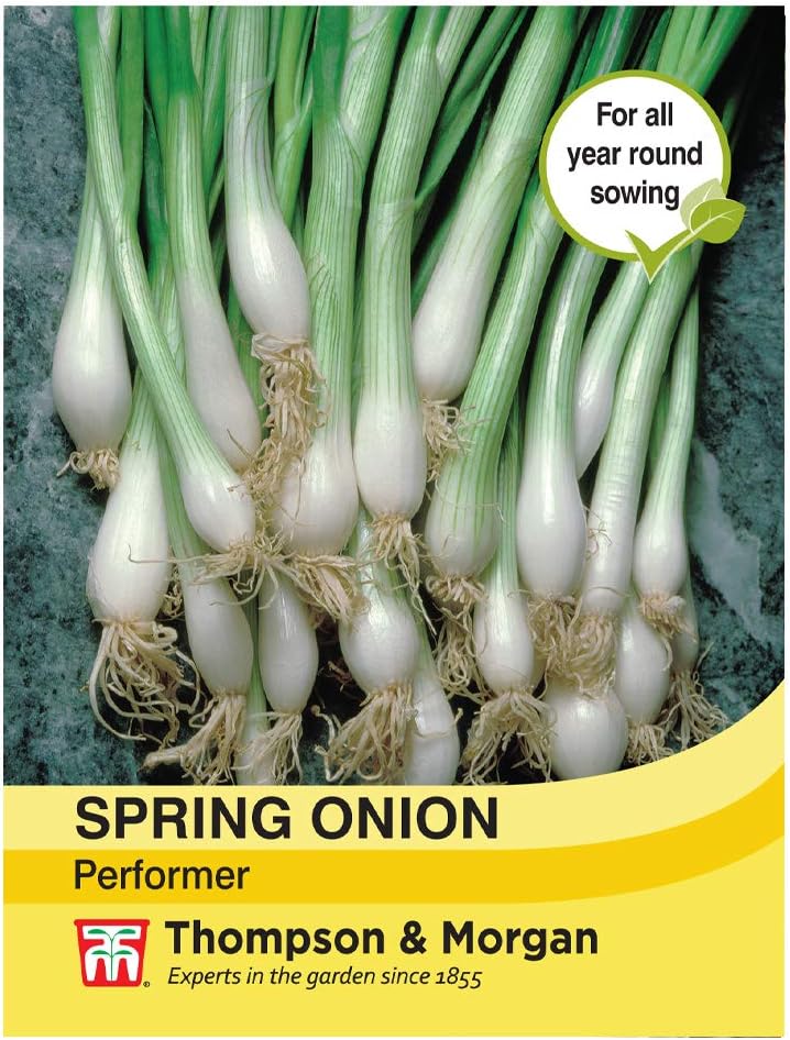 Spring Onion 'Performer' (Bunching Onion) - Seeds Garden Hardy ...