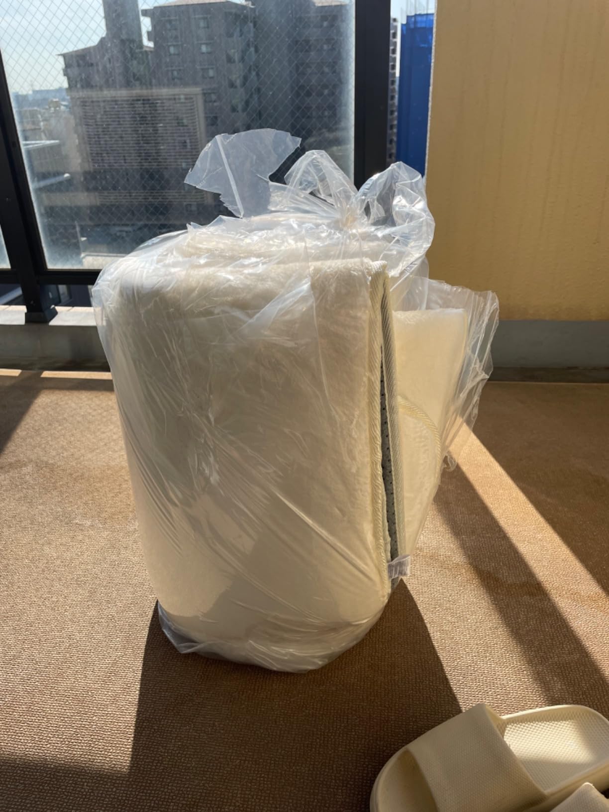 Amazon | HARUMIN 極厚30mm カーペット ラグ 厚手 約2畳 ラグマット 絨毯 無地 防音 抗菌 防臭 防ダニ 低ホルム 北欧 おしゃれ 滑り止め付き 床暖房ホットカーペット ...