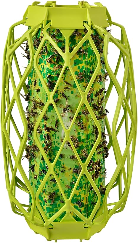 Amazon.com : RESCUE! VisiLure® TrapStik for Wasps, Mud Daubers ...