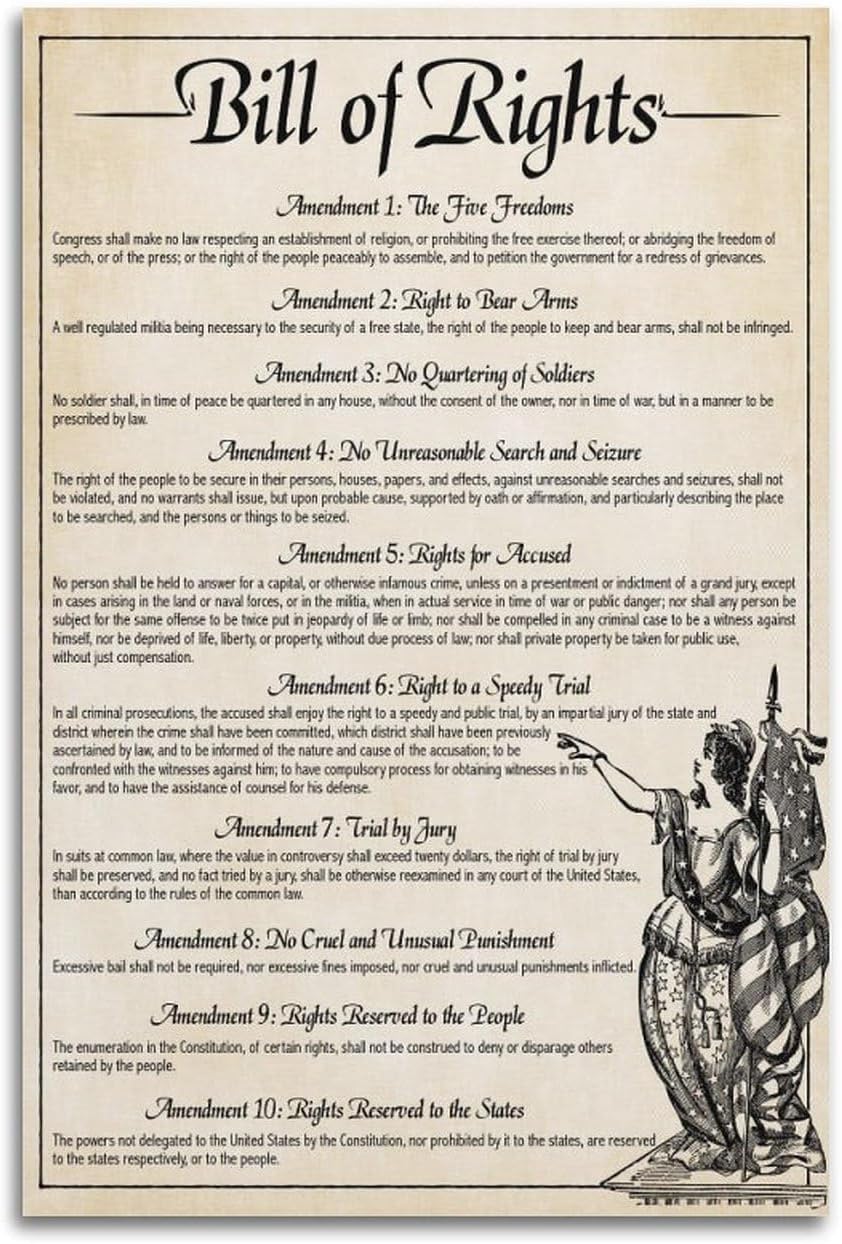 Amazon.com: 27 Amendments Skinny Poster : Home & Kitchen