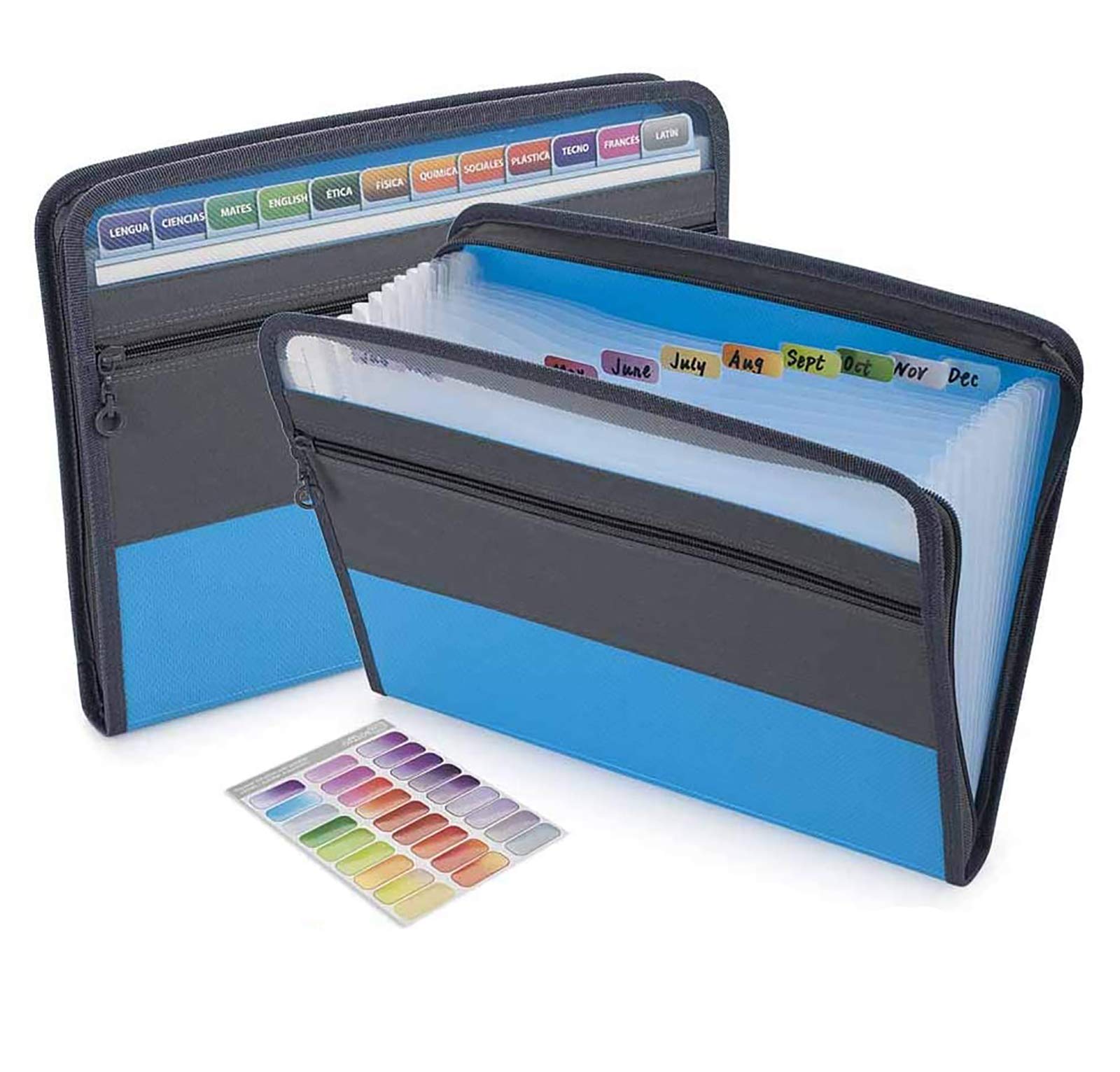 Sooez Expanding File Folder with Sticky Labels, 13 Pocket Accordion ...