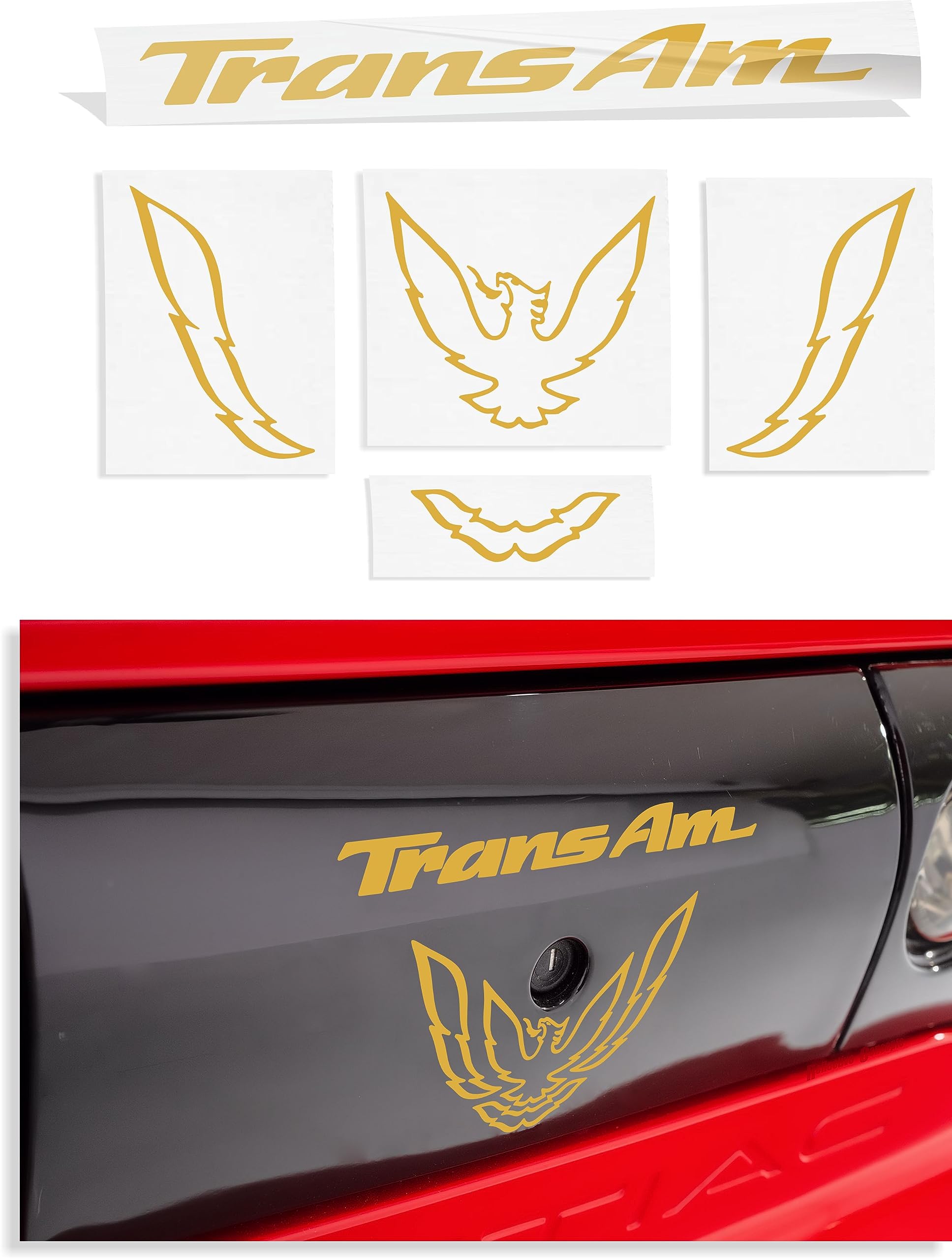Trans Am Vector