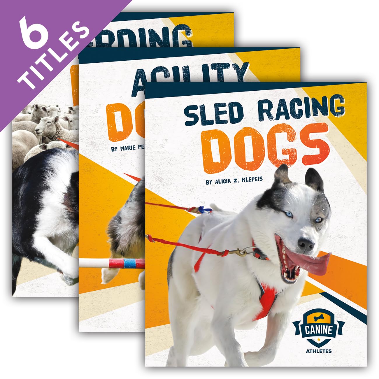 Canine Athletes: Agility Dogs / Disc Dogs / Herding Dogs / K9 and ...