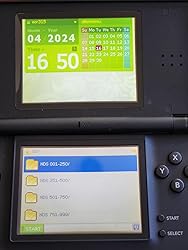 Amazon.com: R4 Video Games Memory Card Adapter with 64GB TF Card ...