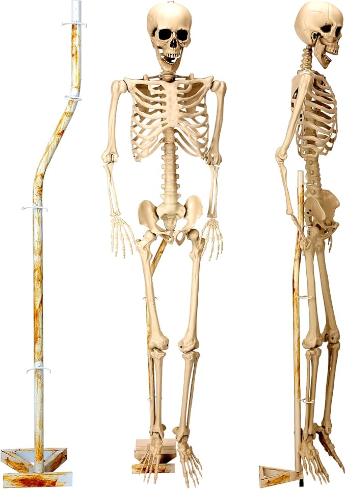Amazon.com: Briwooody 2 Pcs Skeleton Stand Pose N Stay Metal Stand for ...
