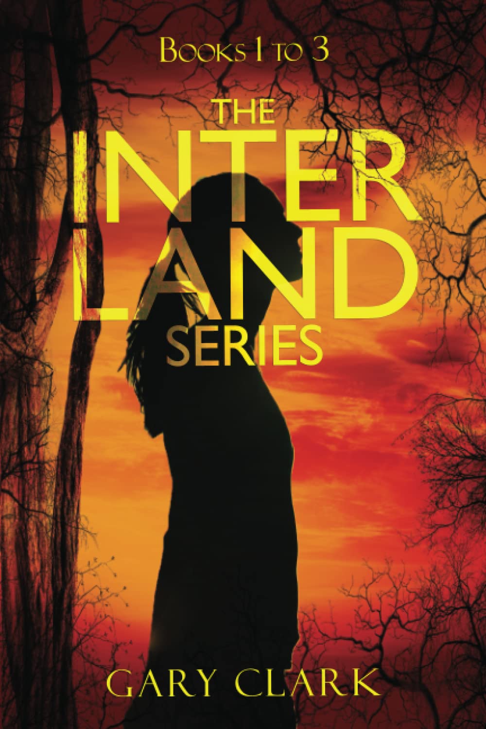 Amazon.com: Interland Series Books #1 to #3: A Young Adult Dystopian ...