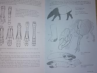 Morpho: Mammals: Elements of Comparative Morphology (Morpho: Anatomy ...
