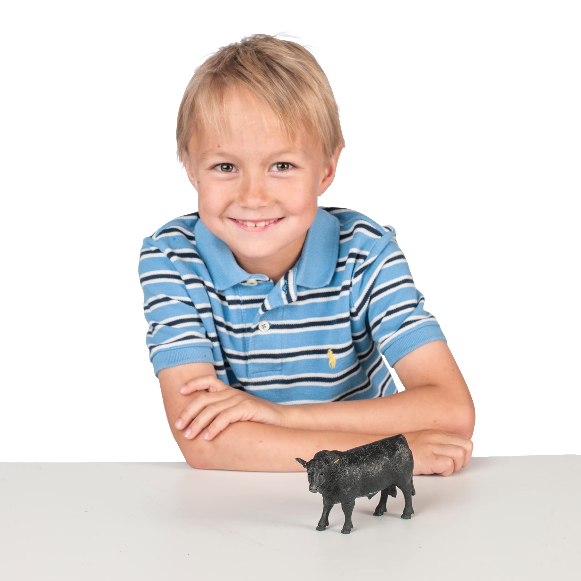 Snapklik.com : Cow Angus Bull 1:20 Scale