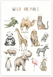 Wild Animals Poster - Classroom Poster - Zoology Visual Aid - Zoo ...