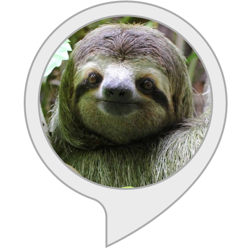 Amazon.com: Sloth Facts : Alexa Skills