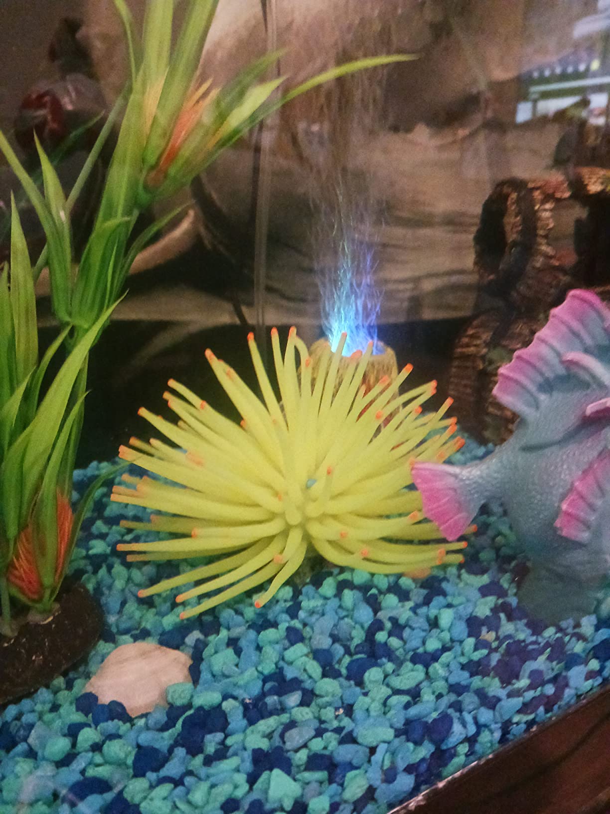 $1/mo - Finance GloFish Anenome Ornaments, Fish Tank Decorations ...