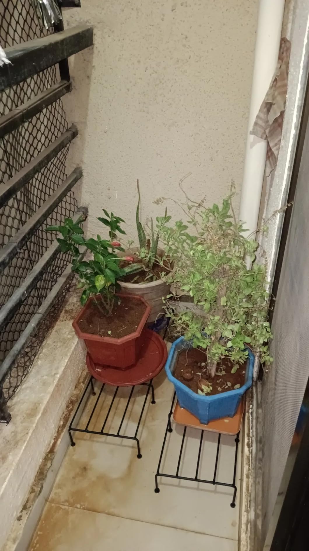 bloomax® Rectangle Stands,80 Kg Weight Carrying Capacity, 24 - inches ...