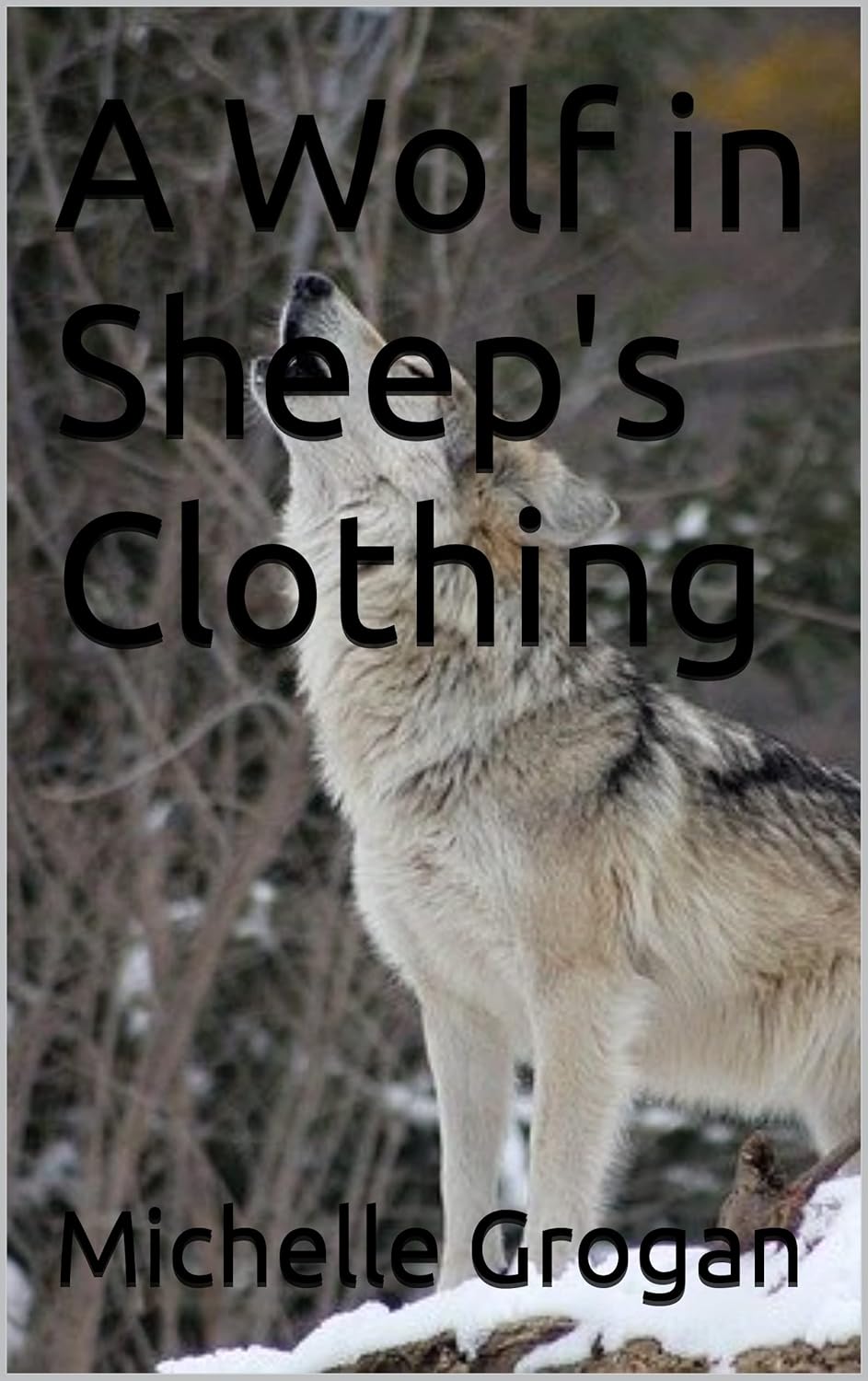 A Wolf in Sheep's Clothing (Ackerley Book 6) eBook : Grogan, Michelle ...