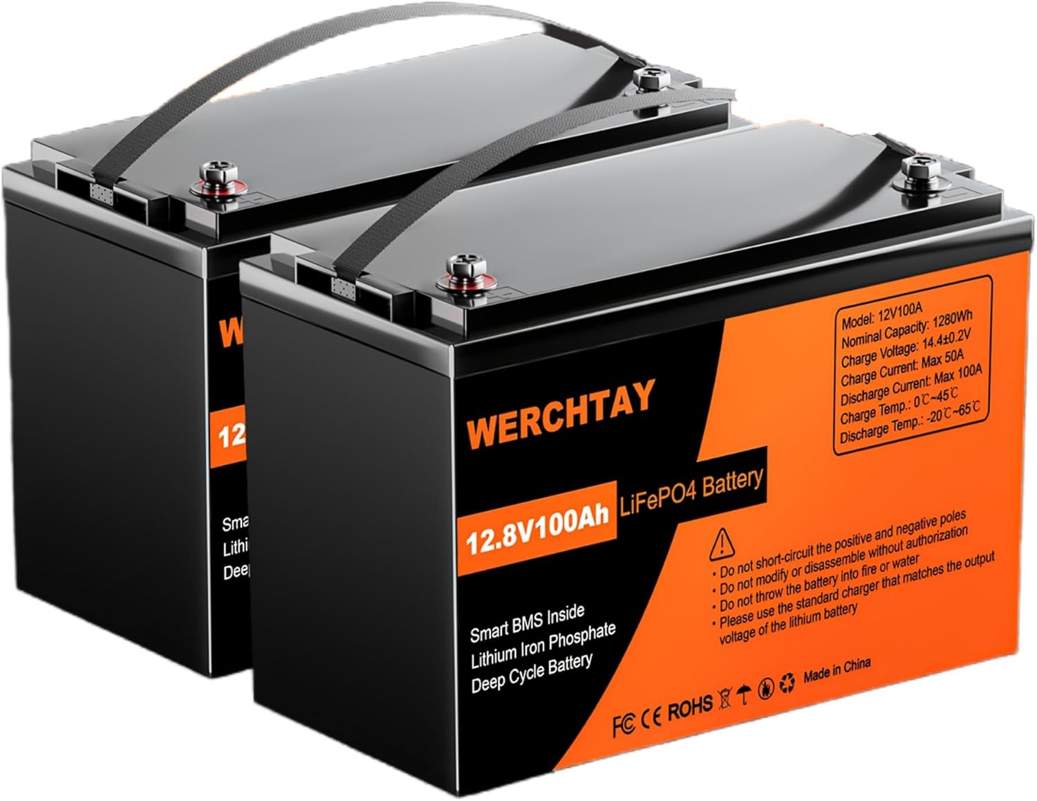 Amazon.com: Built-in 100A battery management system and 2 sets of 100Ah ...