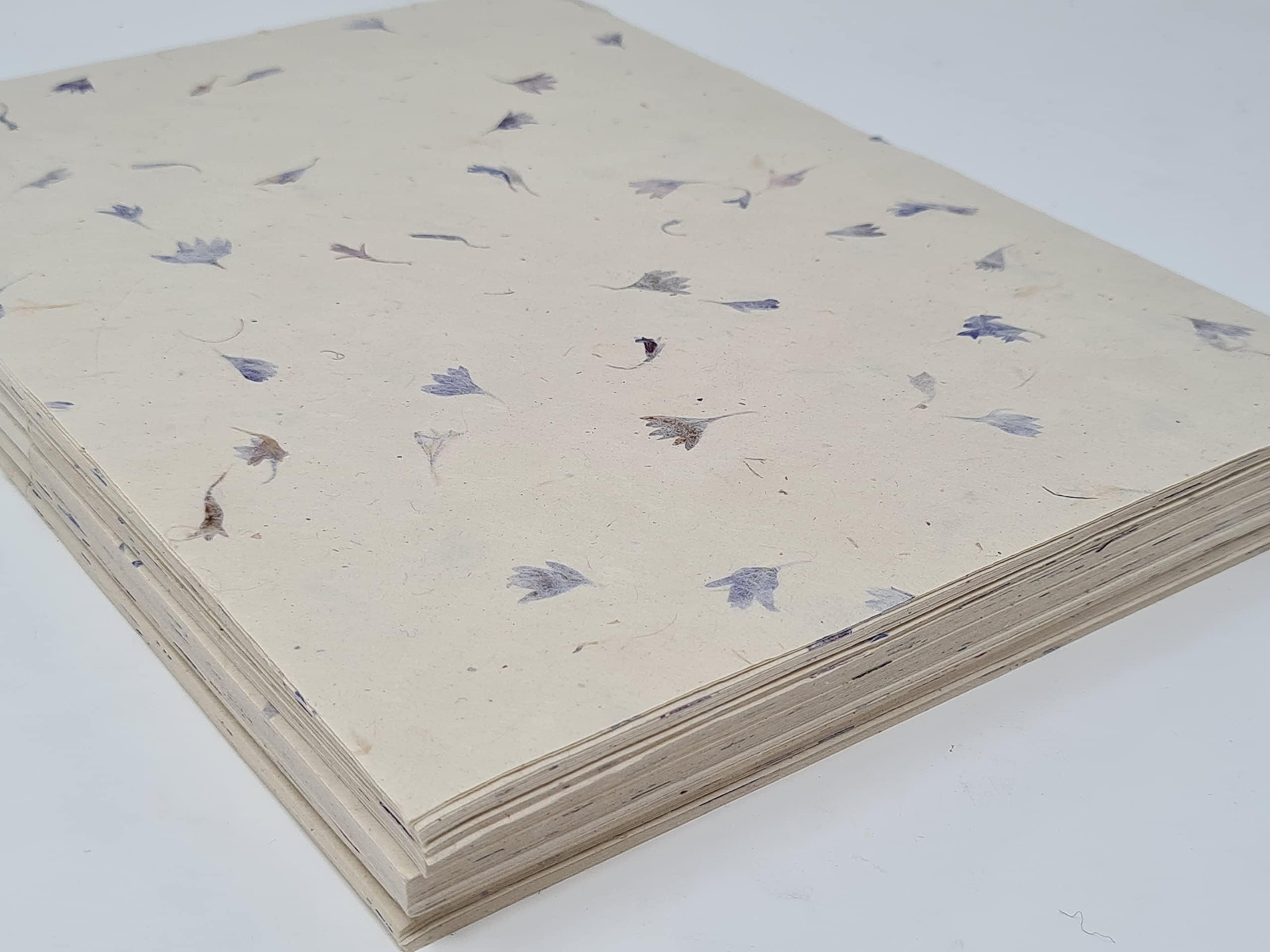 Wanderings Handmade Flower Seed Paper - 21x15cm (A5) - A5 Size ...