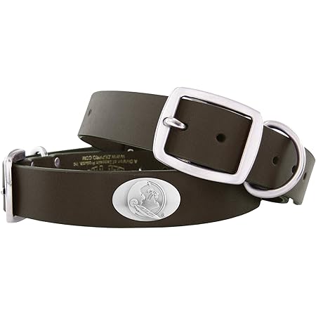 Amazon.com : ZEP-PRO Florida State Seminoles Brown Leather Concho Dog ...