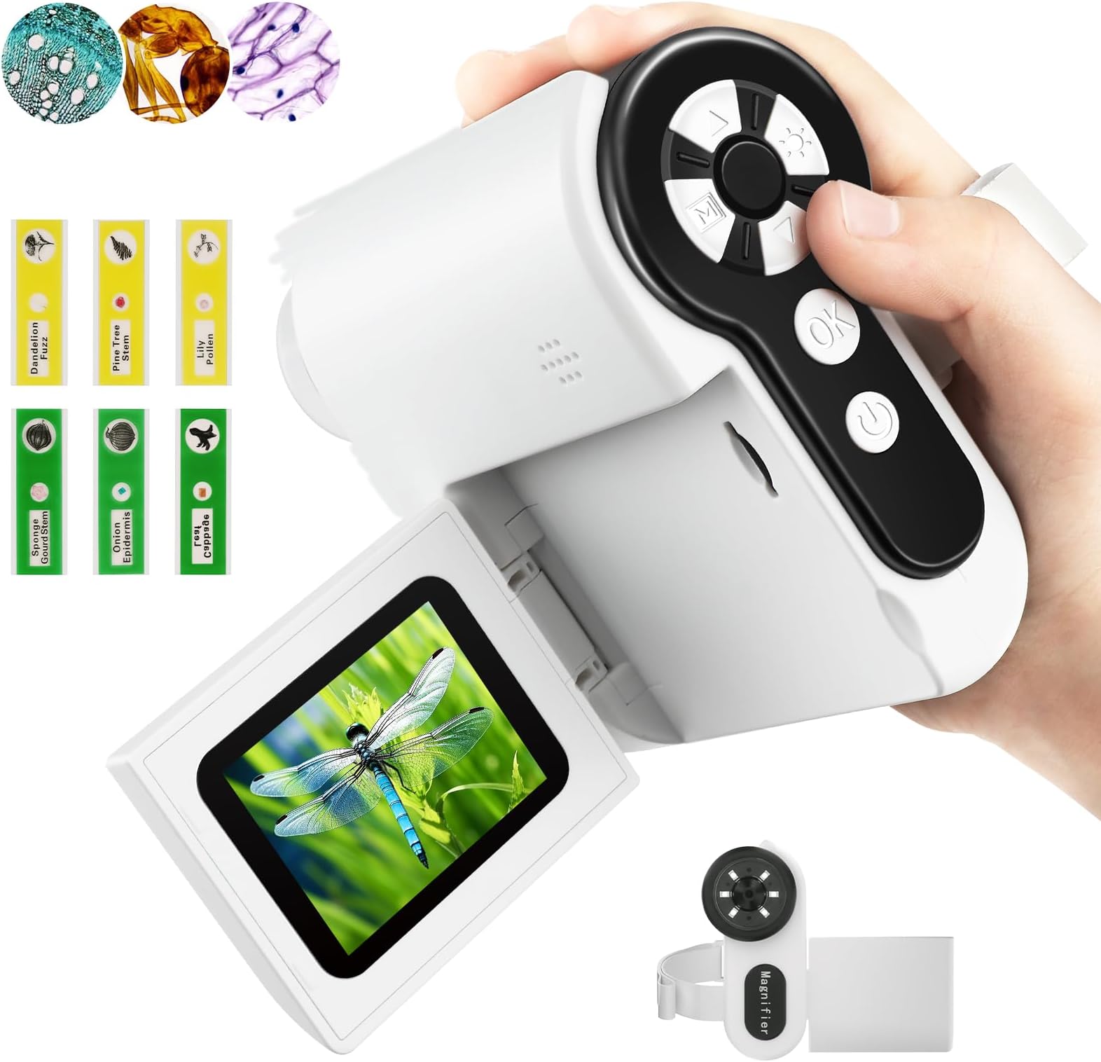 Amazon.com : Dcorn Microscope for Kids, 1000X Handheld Digital ...