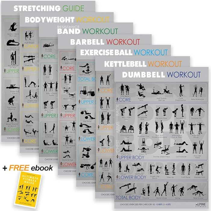Buy Workout Posters for Home Gym - Gym Poster Bundle Includes 7 ...