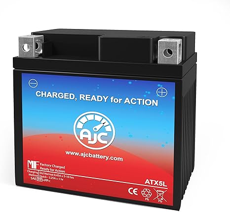 Amazon.com: Snapper SPV21675E Walk-Behind Lawn Mower and Tractor ...