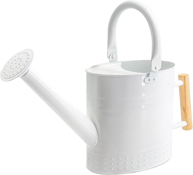 Amazon.com : Metal Watering Can for Outdoor and Indoor Plants,Removable ...