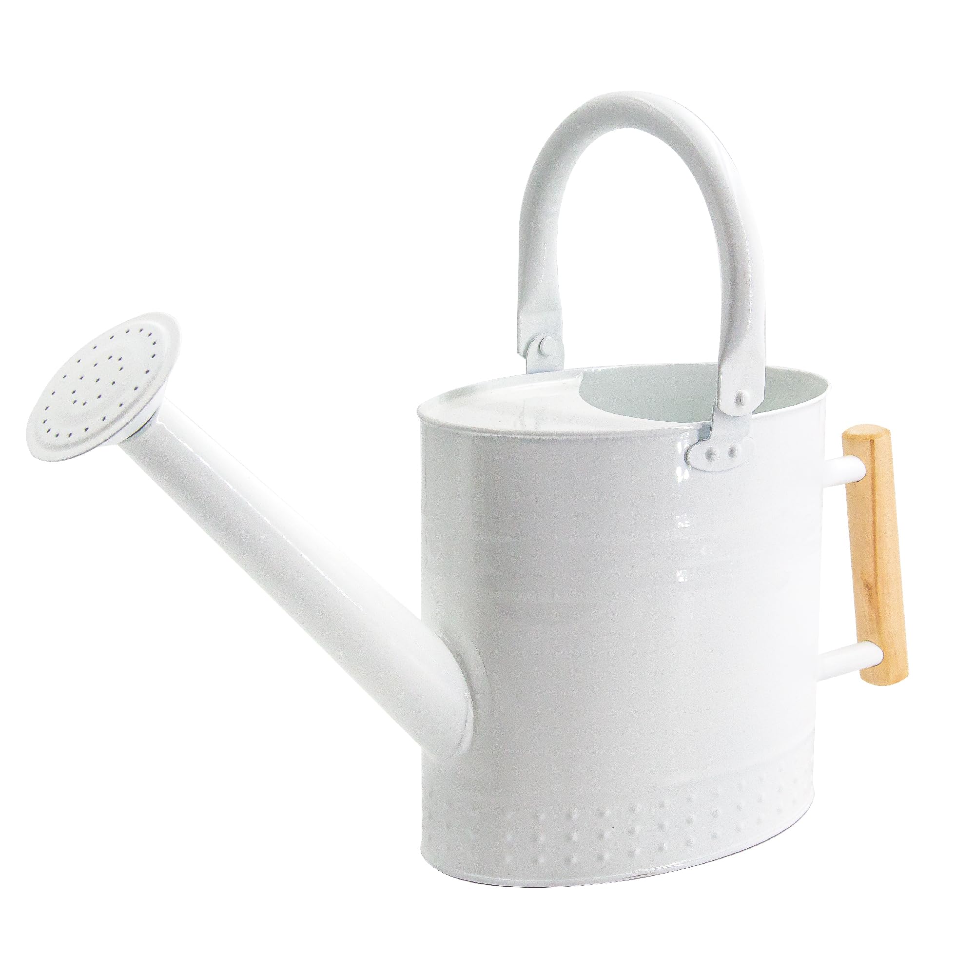 Snapklik.com : Metal Watering Can For Outdoor And Indoor Plants ...