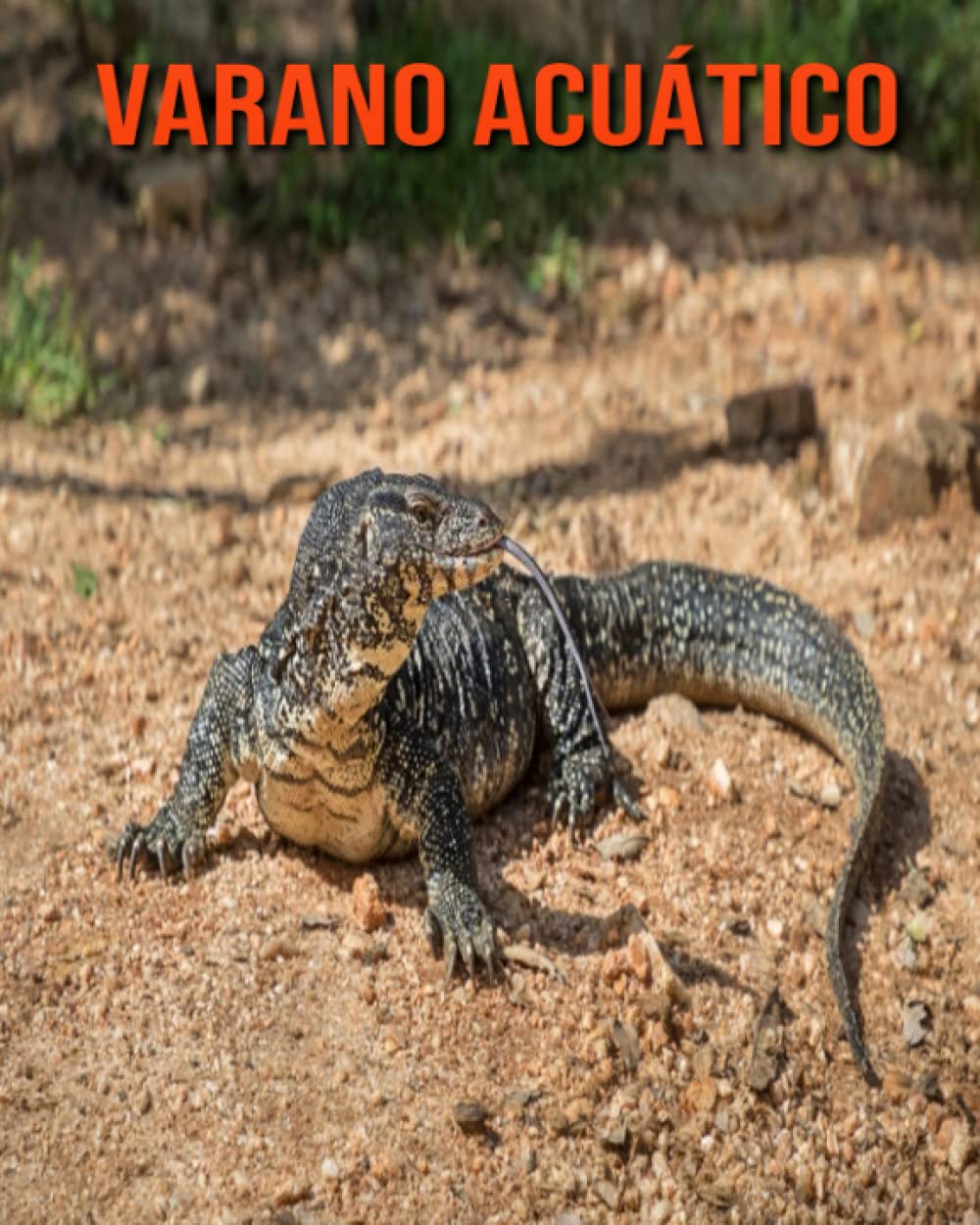 Varano Acuatico Libro Para Ninos Con Imagenes Asombrosas Y Datos ...