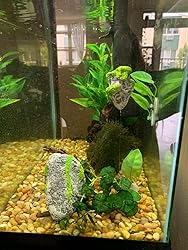 Amazon.com : ISUMER Fish Tank Rocks Floating Rock for Aquarium Resin ...