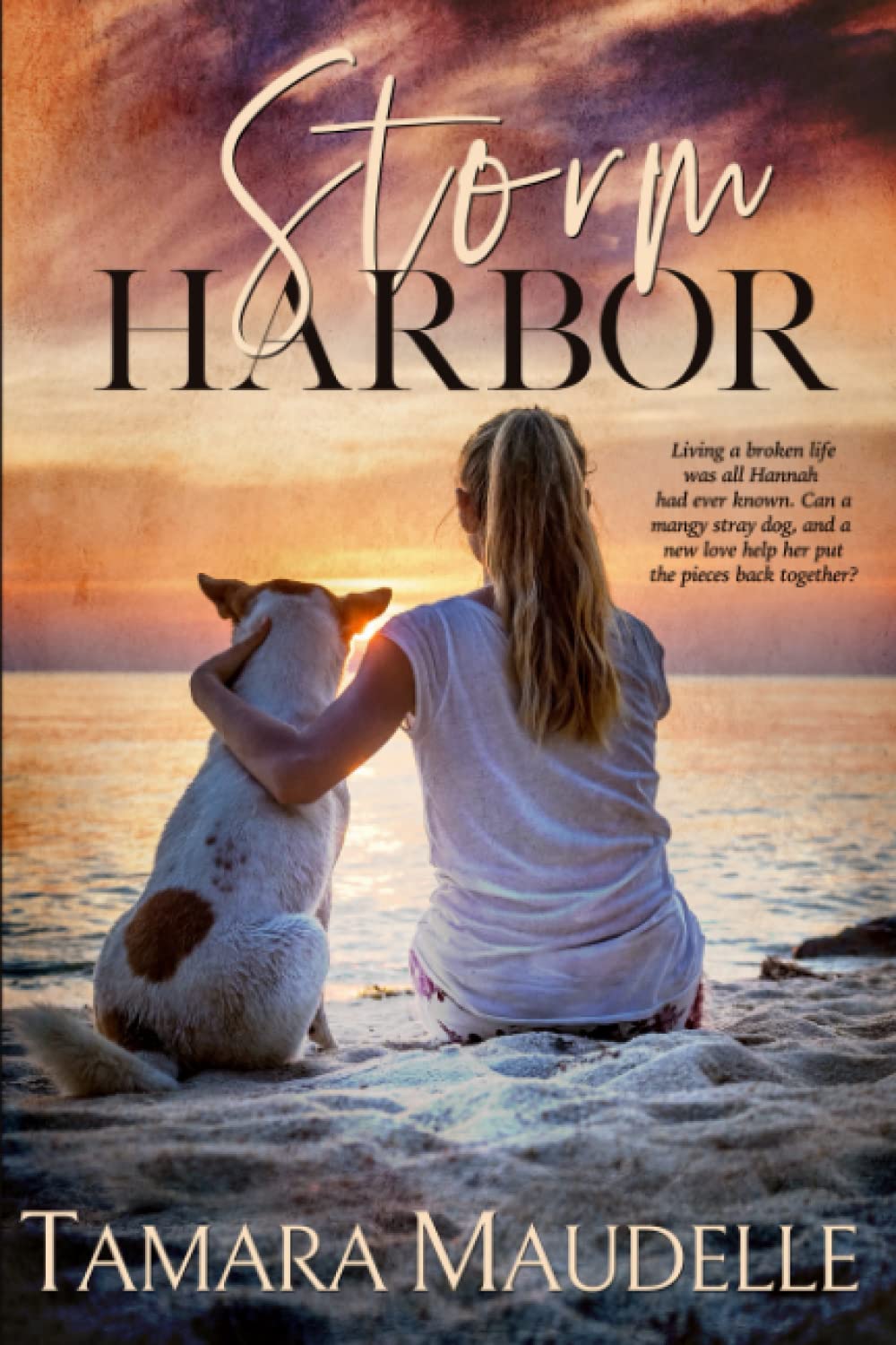 Storm Harbor: Maudelle, Tamara: 9781737291527: Amazon.com: Books