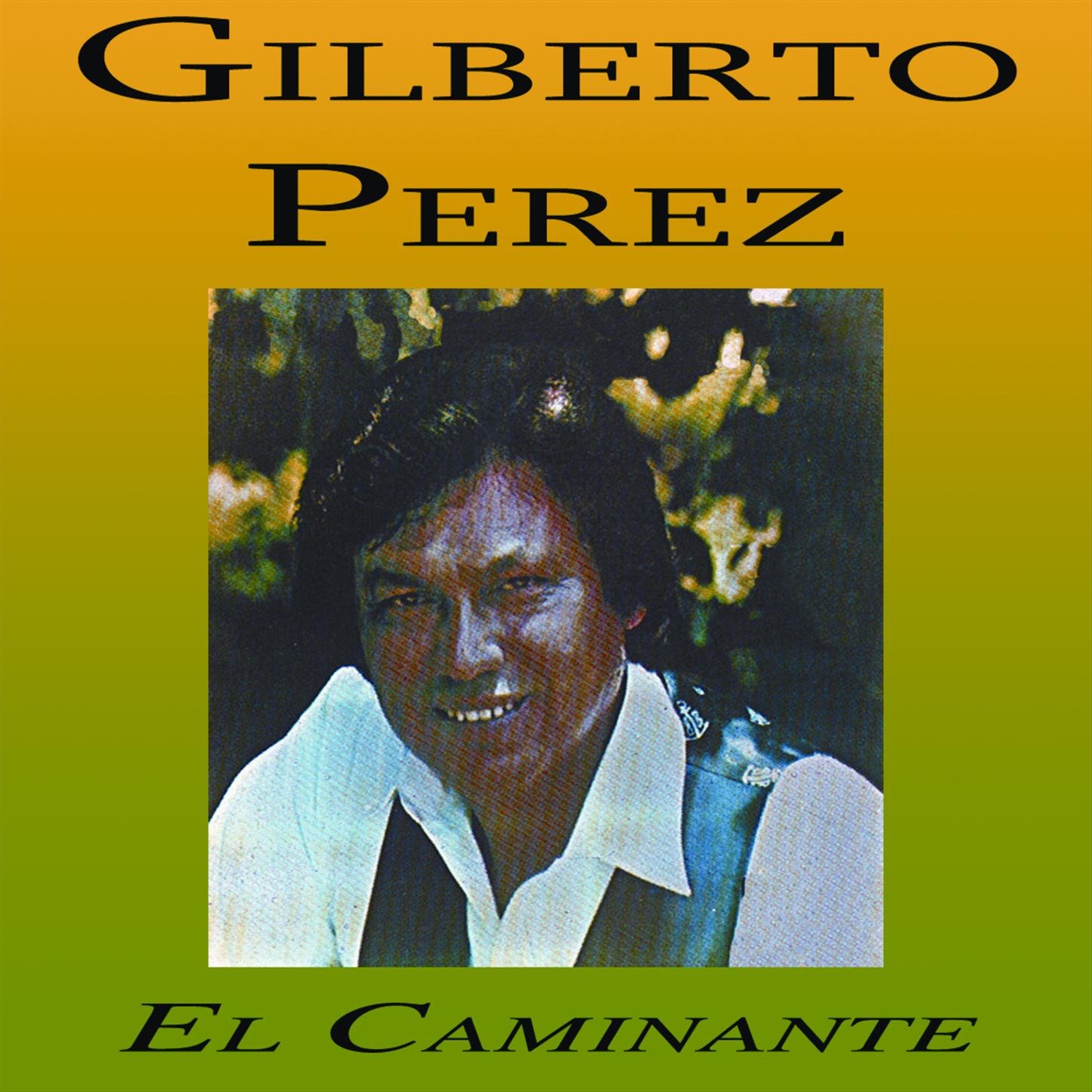 El Burro Pardo song by Gilberto Perez from El Sueno de Julian on Amazon ...