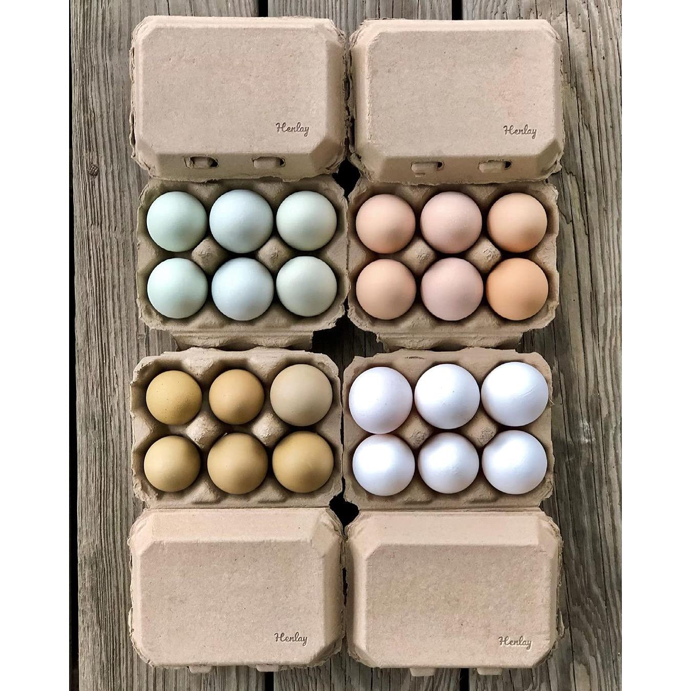 Farm Fresh Egg Containers Half Dozen Blank Egg Cartons - 6-Pack Flat ...