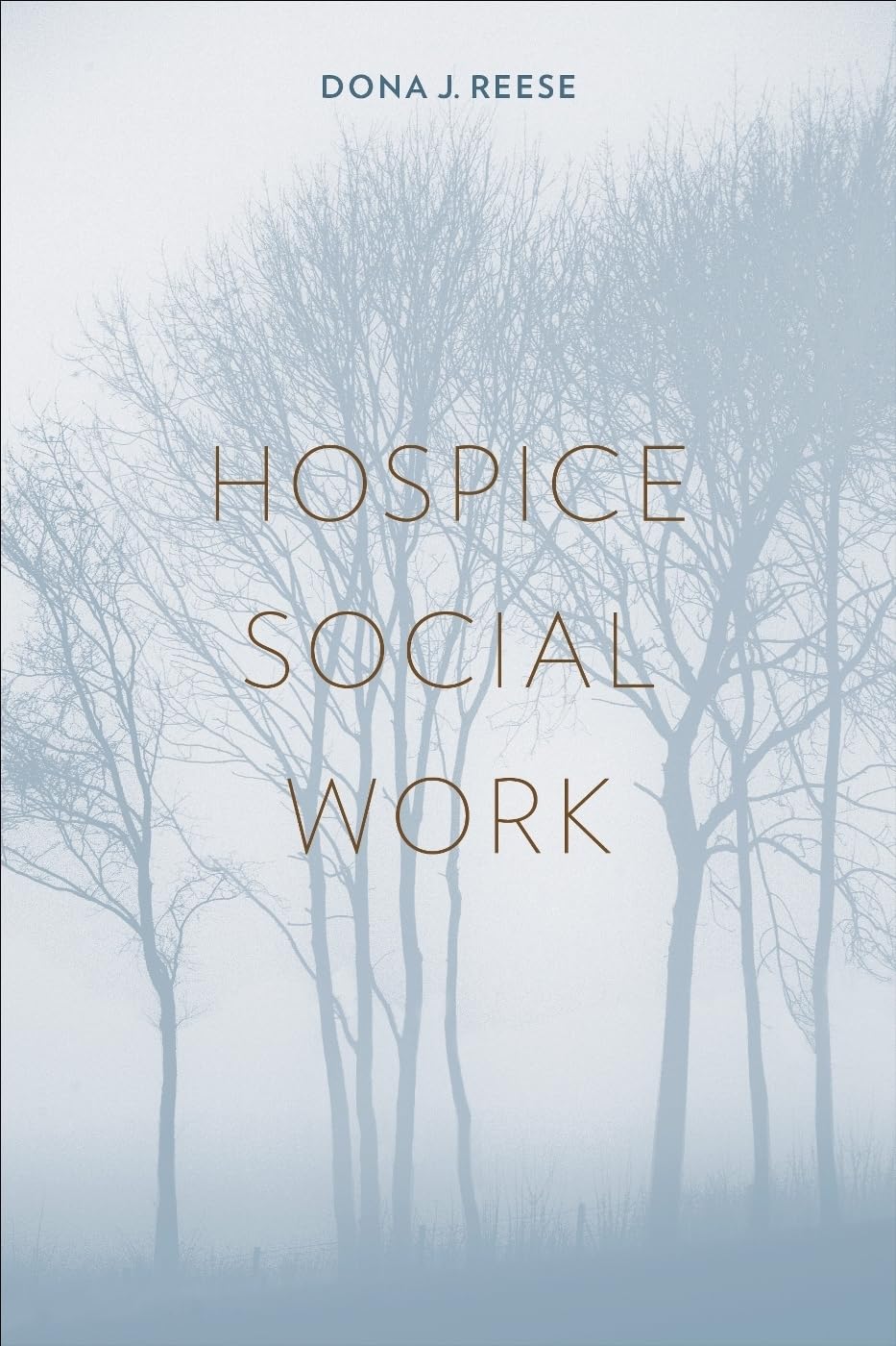 Hospice Social Work (End-of-Life Care: A Series): 9780231134354 ...