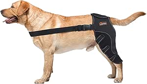 Amazon.com : FoxFocus Dog Hind Legs Protector Rear Leg Joint Wraps for ...
