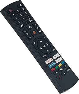 Amazon.com: Beyution Replace Universal Remote Control fit for CAIXUN ...