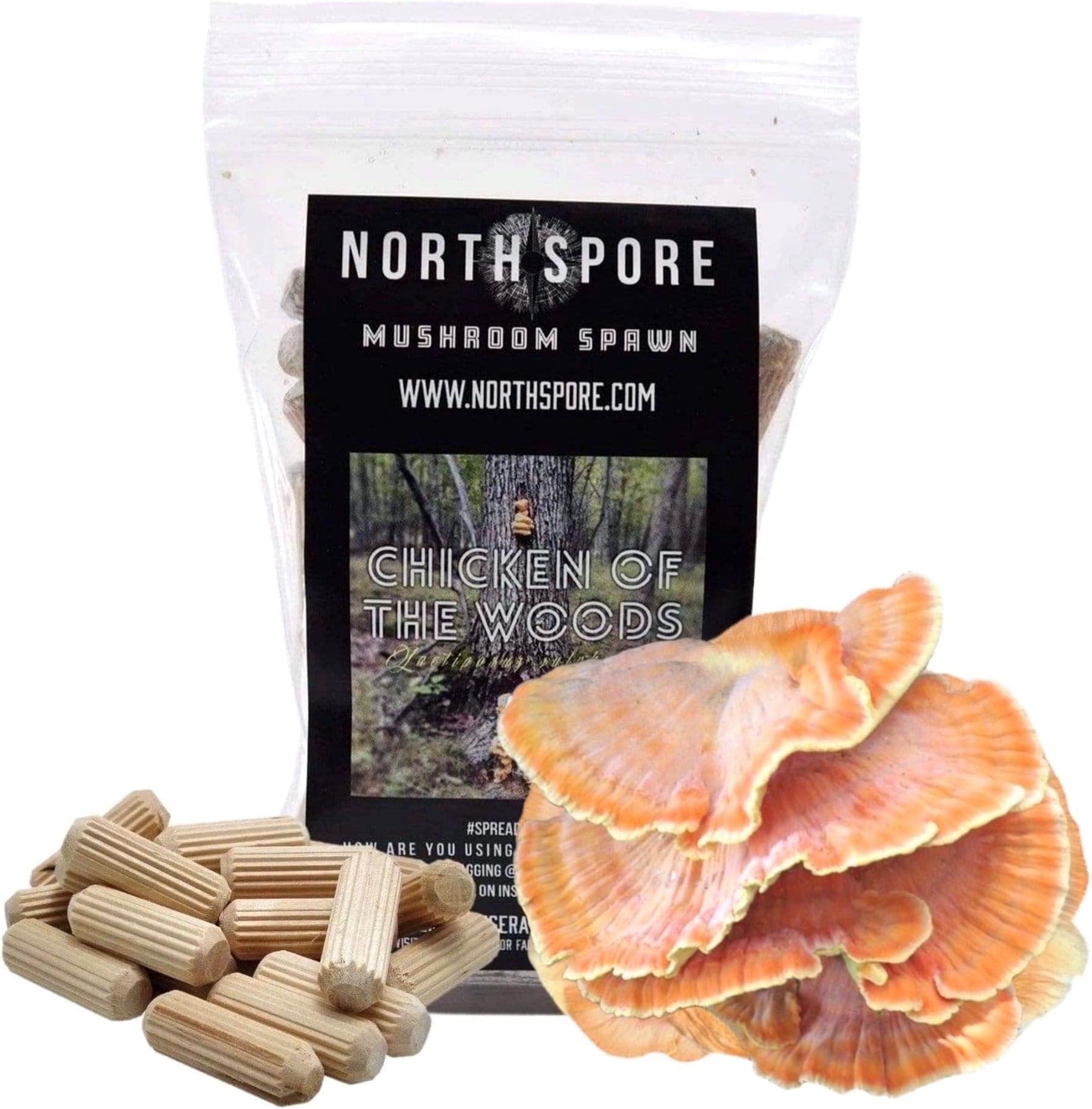 Amazon.com : 1 LB of Wine Cap Mushroom Spawn Mycelium to Grow Gourmet ...