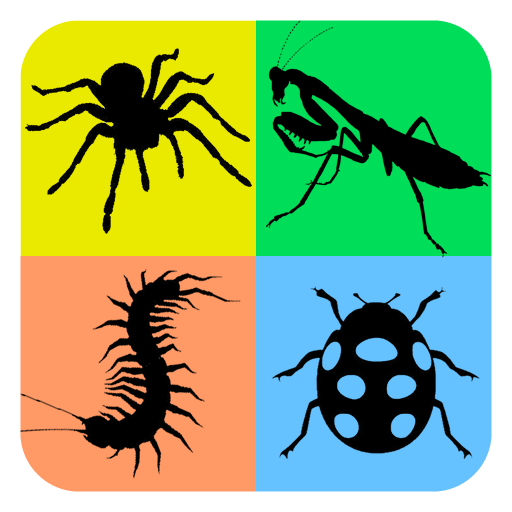 Animals Life Cycle - Insects and Arachnids Free - App on Amazon Appstore
