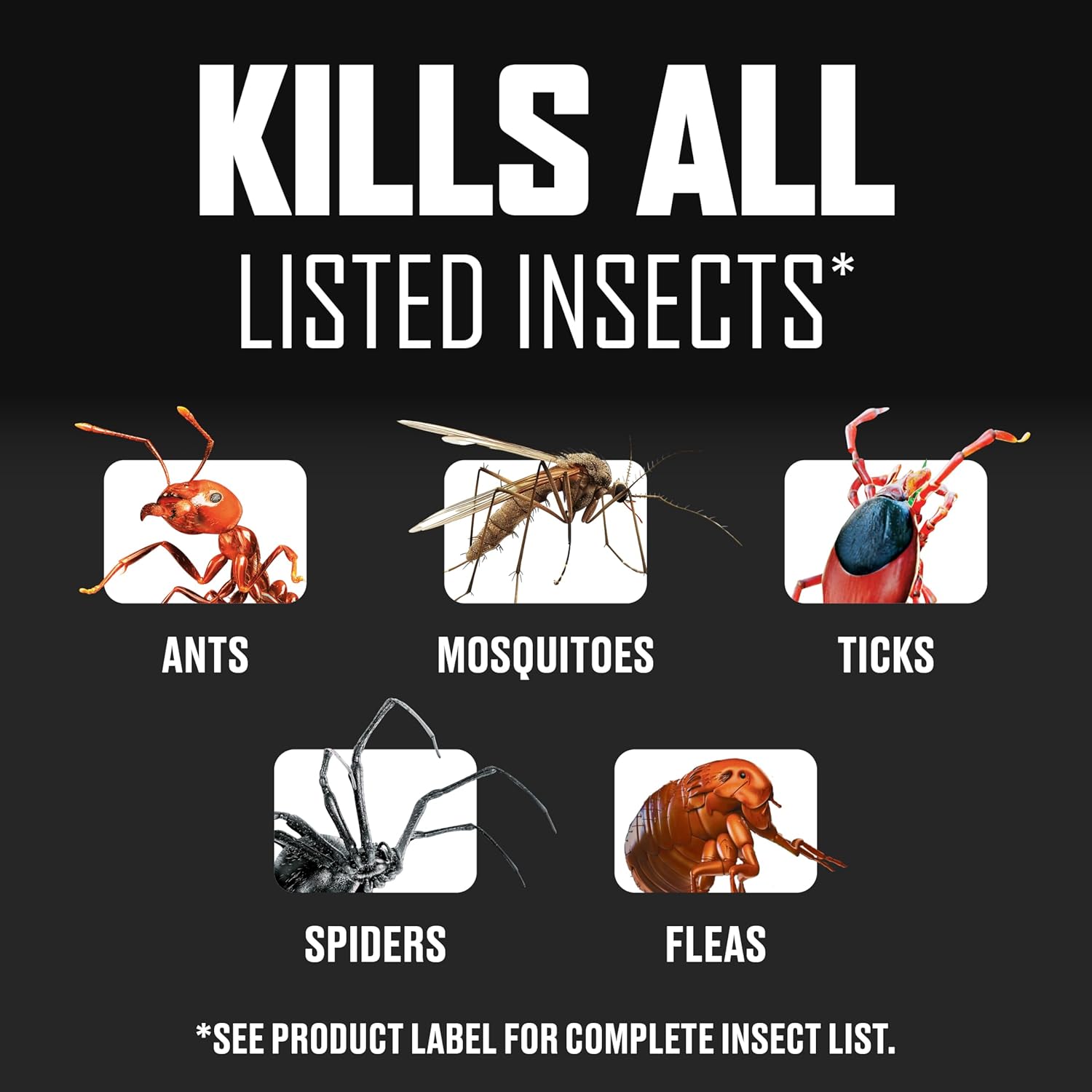 Odor Free Ortho BugClear Insect Killer Concentrate Nepal | Ubuy
