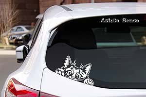 Amazon.com - Curious Peeking Kitty Cat Die Cut Decal Sticker for Car ...