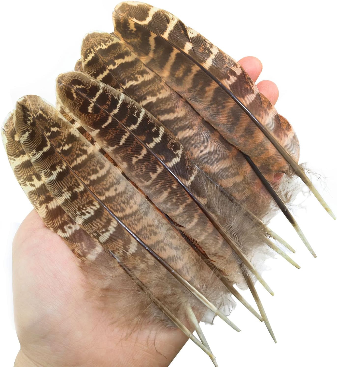 Amazon.com: Natural Turkey Feather LUORNG 20PCS 5.9-7.9 inches Natural ...