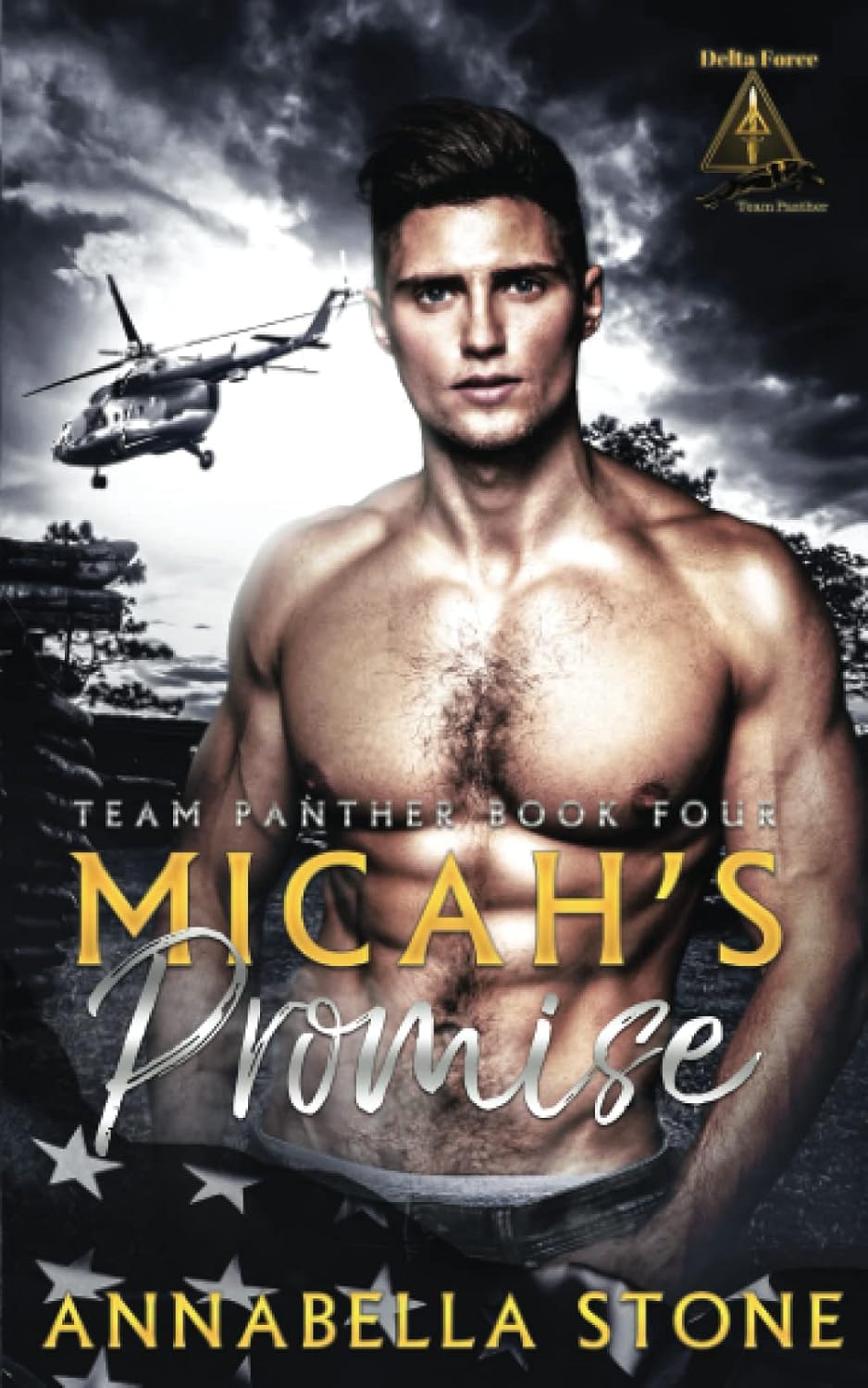 Amazon.com: Micah's Promise (Delta Force Team Panther): 9781713320630 ...