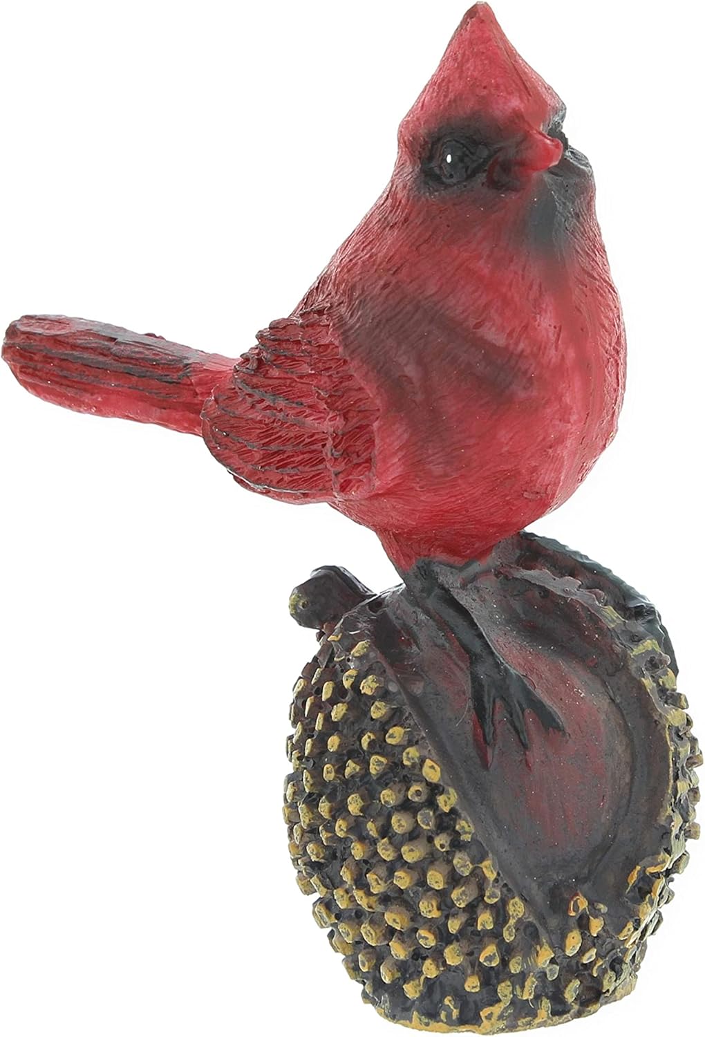 Amazon.com: The Bridge Collection Small Cardinal Perched on a Nut Resin ...