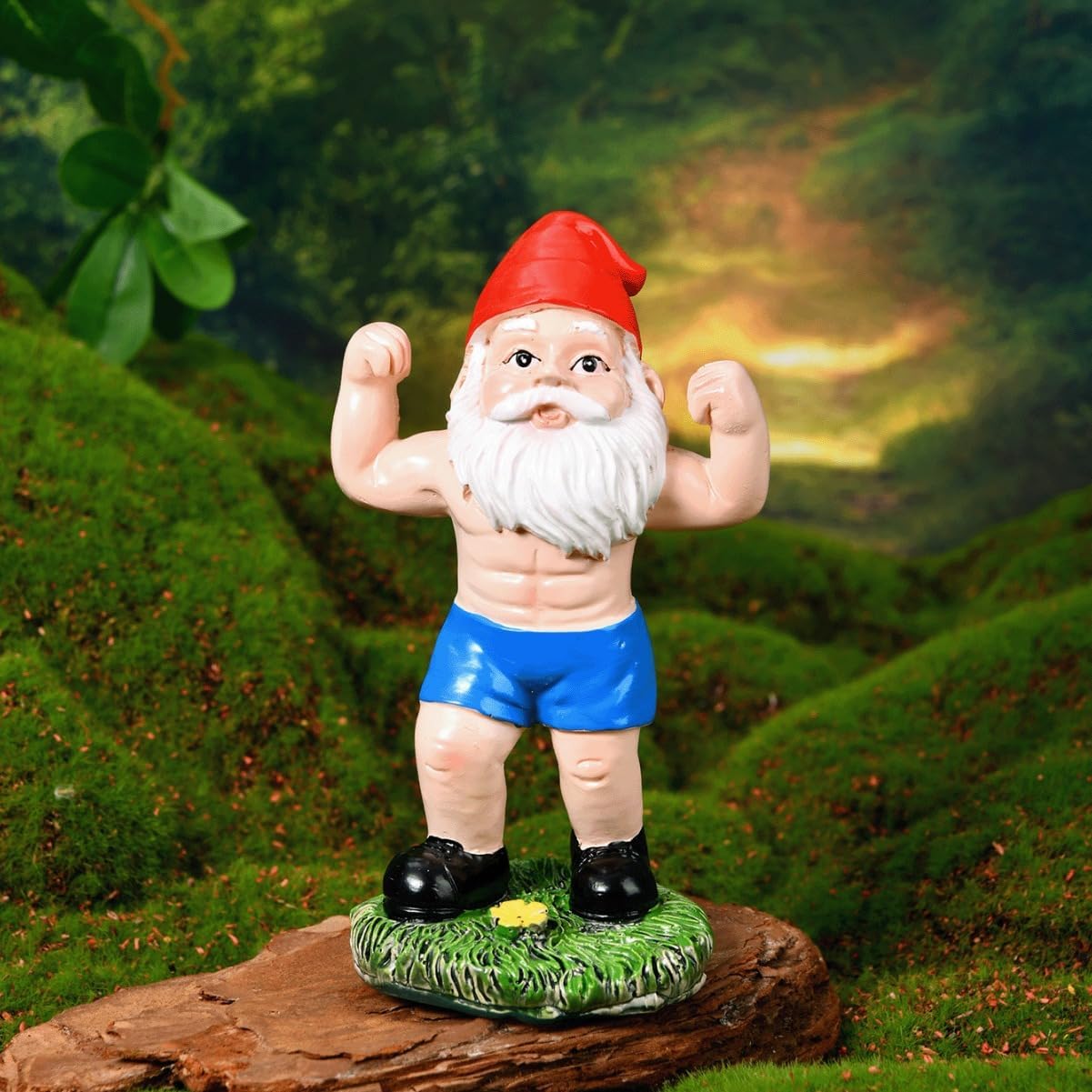 Amazon.com: SepApr88 Garden Gnomes, Funny Naughty Exercise Fitness ...