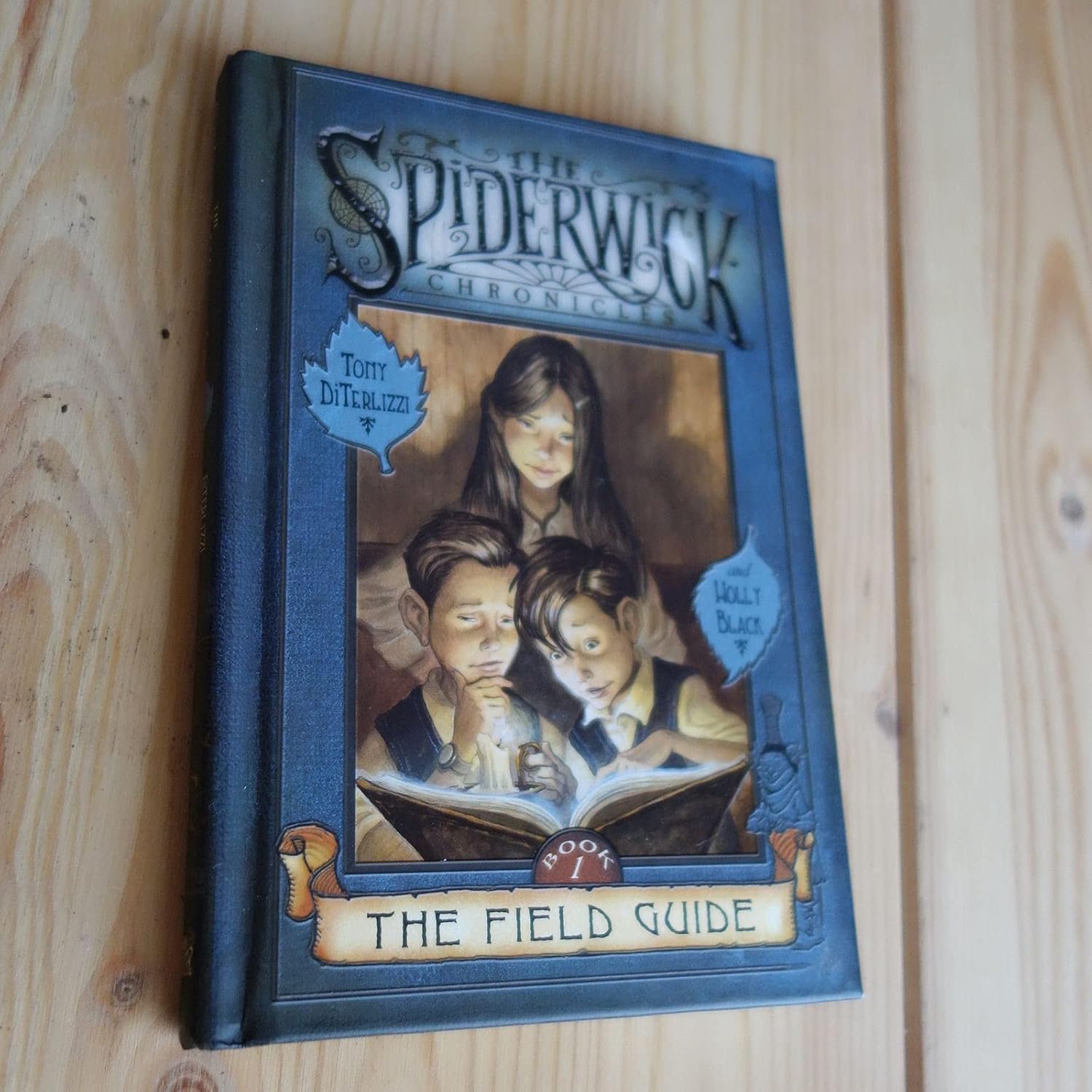 The Field Guide (Spiderwick Chronicles, 1): Black, Holly, DiTerlizzi ...