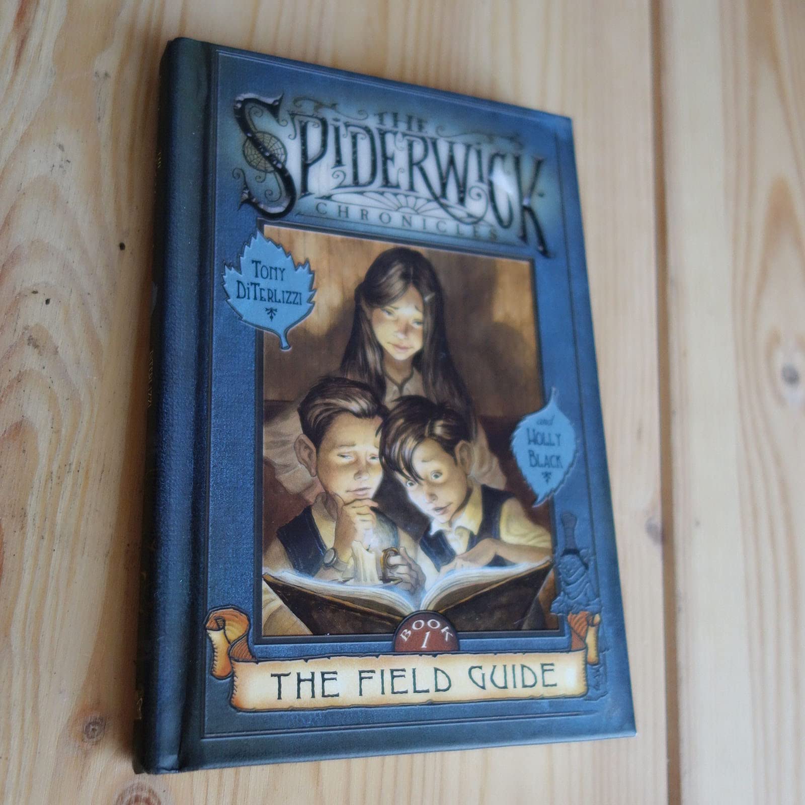 The Field Guide (Spiderwick Chronicles, 1): Black, Holly, DiTerlizzi ...
