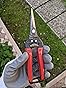 ARS Fruit Picking Shears - 190mm | Garden Scissors for Fruit Picking ...