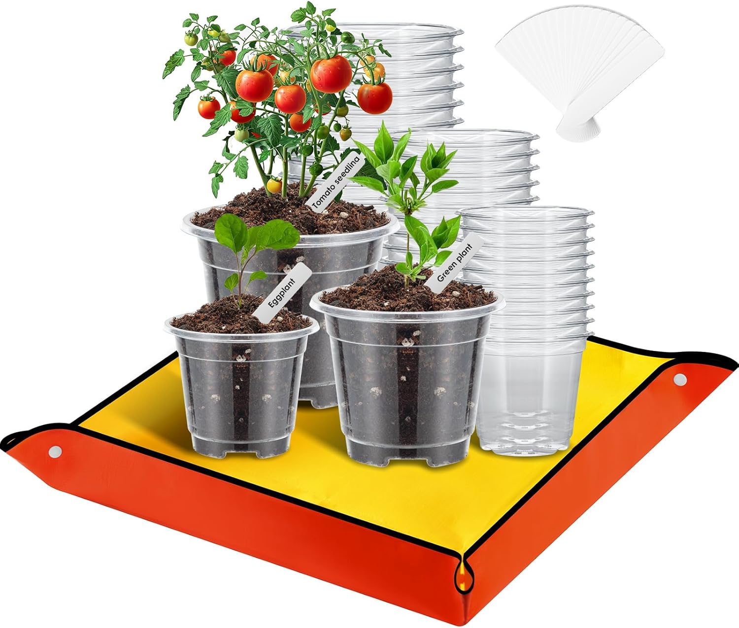 Amazon.com: Vinitoy 30 Packs Clear Nursery Pots, 3.5/4/5 Inch Seed ...