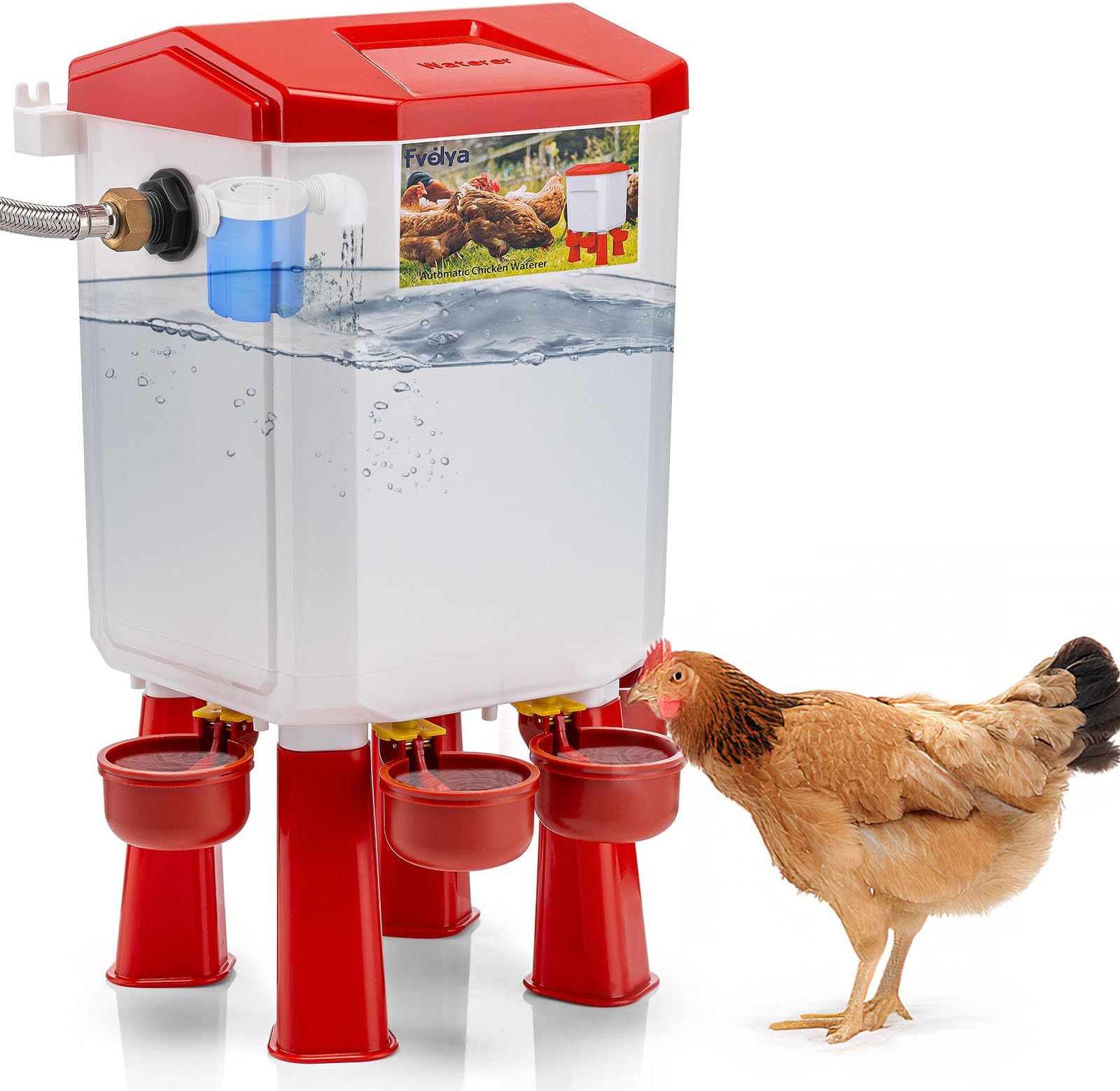 Amazon.com: Automatic Chicken Waterer Filtered Float-Controlled Large ...